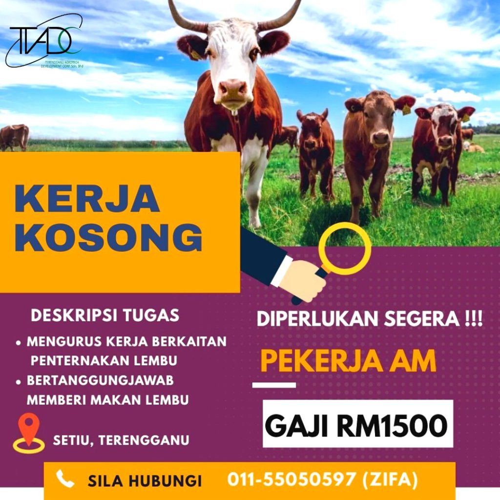 Iklan Jawatan Terengganu Agrotech Development Corporation Sdn Bhd (TADC ...